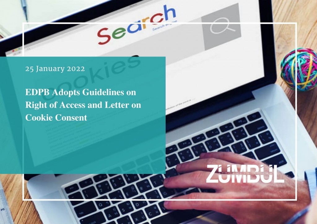 EDPB Adopts Guidelines on Right of Access and Letter on Cookie Consent ...